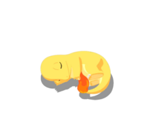Charmander (Sleep) - WikiDex, la enciclopedia Pokémon
