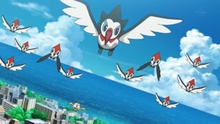 Pikipek - WikiDex, la enciclopedia Pokémon