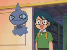 Max - WikiDex, la enciclopedia Pokémon