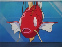 Magikarp - WikiDex, la enciclopedia Pokémon
