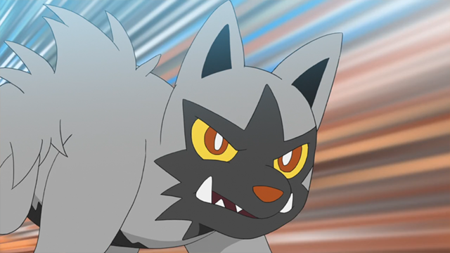 Archivo:EP1143 Poochyena.png - WikiDex, la enciclopedia Pokémon