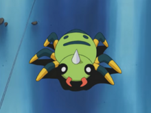 Spinarak - WikiDex, la enciclopedia Pokémon