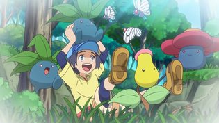 Sunny - WikiDex, la enciclopedia Pokémon