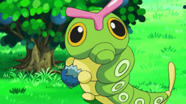Caterpie - WikiDex, la enciclopedia Pokémon