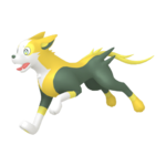 Boltund - WikiDex, la enciclopedia Pokémon