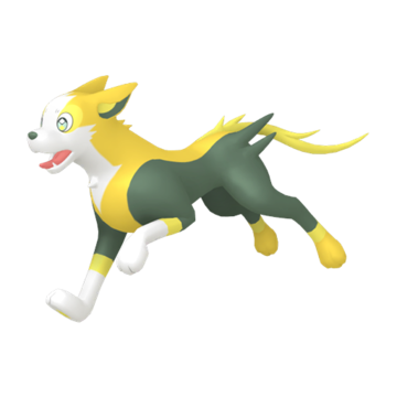 Categoría:Boltund - WikiDex, la enciclopedia Pokémon