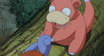 Slowpoke - WikiDex, la enciclopedia Pokémon