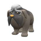 Mabosstiff de Damián - WikiDex, la enciclopedia Pokémon