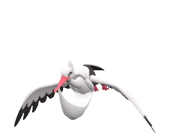 Categoría:Bombirdier - WikiDex, la enciclopedia Pokémon