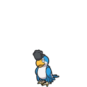 Categoría:Squawkabilly - WikiDex, la enciclopedia Pokémon