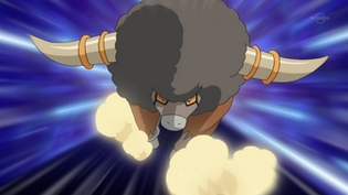 Alder/Mirto - WikiDex, la enciclopedia Pokémon