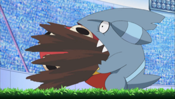 Shuckle de Conway - WikiDex, la enciclopedia Pokémon