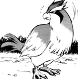Pidgey - WikiDex, la enciclopedia Pokémon