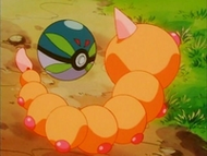 Weedle de Casey - WikiDex, la enciclopedia Pokémon