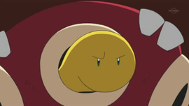 Shuckle de Conway - WikiDex, la enciclopedia Pokémon