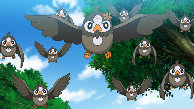 Archivo:EP1163 Starly.png - WikiDex, la enciclopedia Pokémon