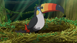 Toucannon - WikiDex, la enciclopedia Pokémon