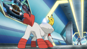 Everett - WikiDex, la enciclopedia Pokémon