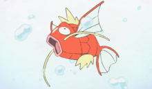 Magikarp - WikiDex, la enciclopedia Pokémon