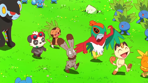Hawlucha de Ash - WikiDex, la enciclopedia Pokémon