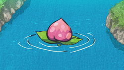 Baya Duraz Mítica/Baya Meloc Singular - WikiDex, la enciclopedia Pokémon