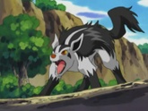 Mightyena - WikiDex, la enciclopedia Pokémon
