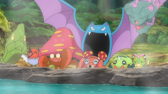 Archivo:EP1074 Pokémon del bosque.png - WikiDex, la enciclopedia Pokémon