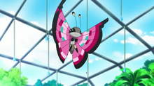 Vivillon - WikiDex, la enciclopedia Pokémon