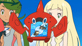Categoría:Raticate de Alola - WikiDex, la enciclopedia Pokémon