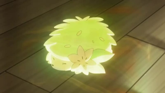 Archivo:EP1089 Shaymin cambiando a su forma cielo.webm - WikiDex, la enciclopedia Pokémon