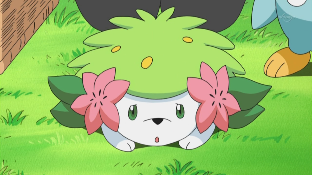 Archivo:EP637 Shaymin.png - WikiDex, la enciclopedia Pokémon