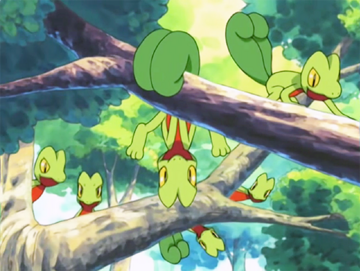 Treecko - WikiDex, la enciclopedia Pokémon