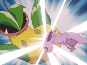 Espeon de Sakura - WikiDex, la enciclopedia Pokémon
