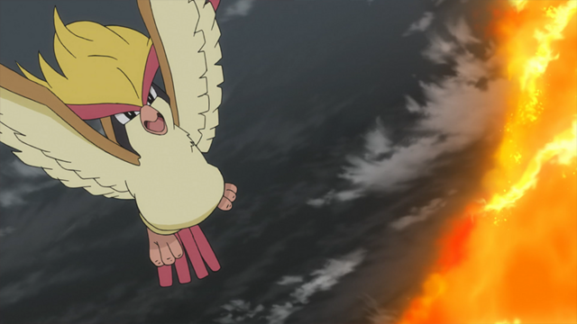 Archivo:EP1173 Pidgeot.png - WikiDex, la enciclopedia Pokémon