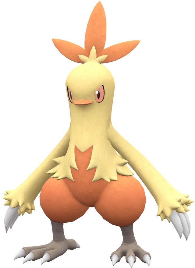 Archivo:Combusken EP.webm - WikiDex, la enciclopedia Pokémon