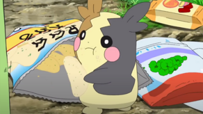 Morpeko - WikiDex, la enciclopedia Pokémon