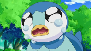 Piplup de Dawn/Piplup de Maya - WikiDex, la enciclopedia Pokémon