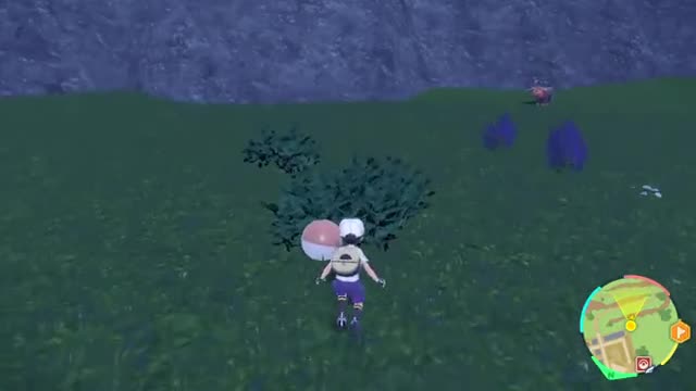 Archivo:Como capturar a Ditto EP.webm - WikiDex, la enciclopedia Pokémon