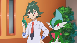 Categoría:Pokémon de Rinto/Risto - WikiDex, la enciclopedia Pokémon